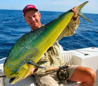 brutus whale Archives – Jeff Currier