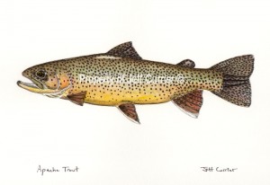 Trout, Salmon and Char – Jeff Currier