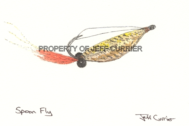 Flies – Jeff Currier