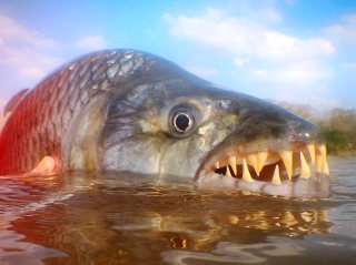 2013 Adventures – Jeff Currier