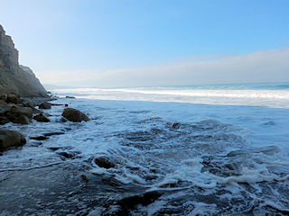 Spring Tide Challenges and a New Species – Jeff Currier