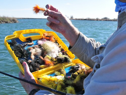 "Streamer Tricks for more & Larger Trout" – Jeff Currier