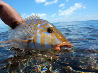 Fly Fishing Farquhar in the Seychelles Day 1 – Jeff Currier