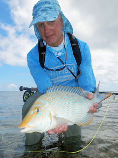 Unnerving Calmness Continues at Farquhar Atoll - Day 4 – Jeff Currier