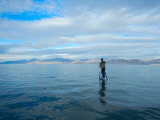 Fly Fishing Pyramid Lake Nevada – Jeff Currier