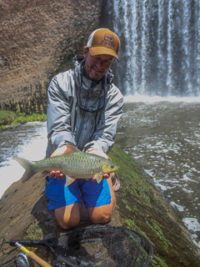Largescale and Smallscale Yellowfish in a Day – Jeff Currier