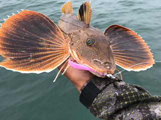 Blog – Jeff Currier