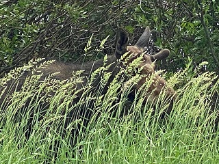 First Float of the Year - The Rizzo River – Jeff Currier
