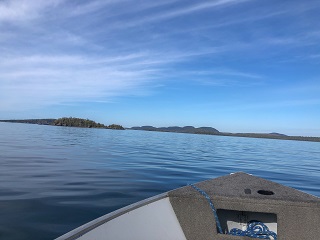Superior Lake Trout and Coaster Brookies – Jeff Currier