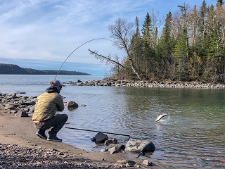 Superior Lake Trout and Coaster Brookies – Jeff Currier